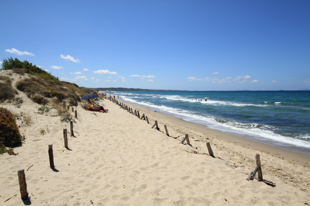 40 Best Things to do in Martha's Vineyard – Wander Epic