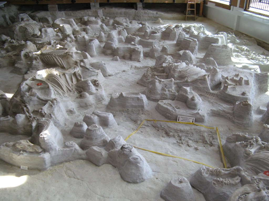 20 Things to do in Nebraska Sandhills – Wander Epic