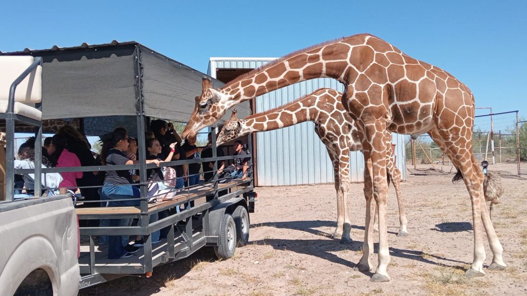 30 Best Things to do in Laredo – Wander Epic